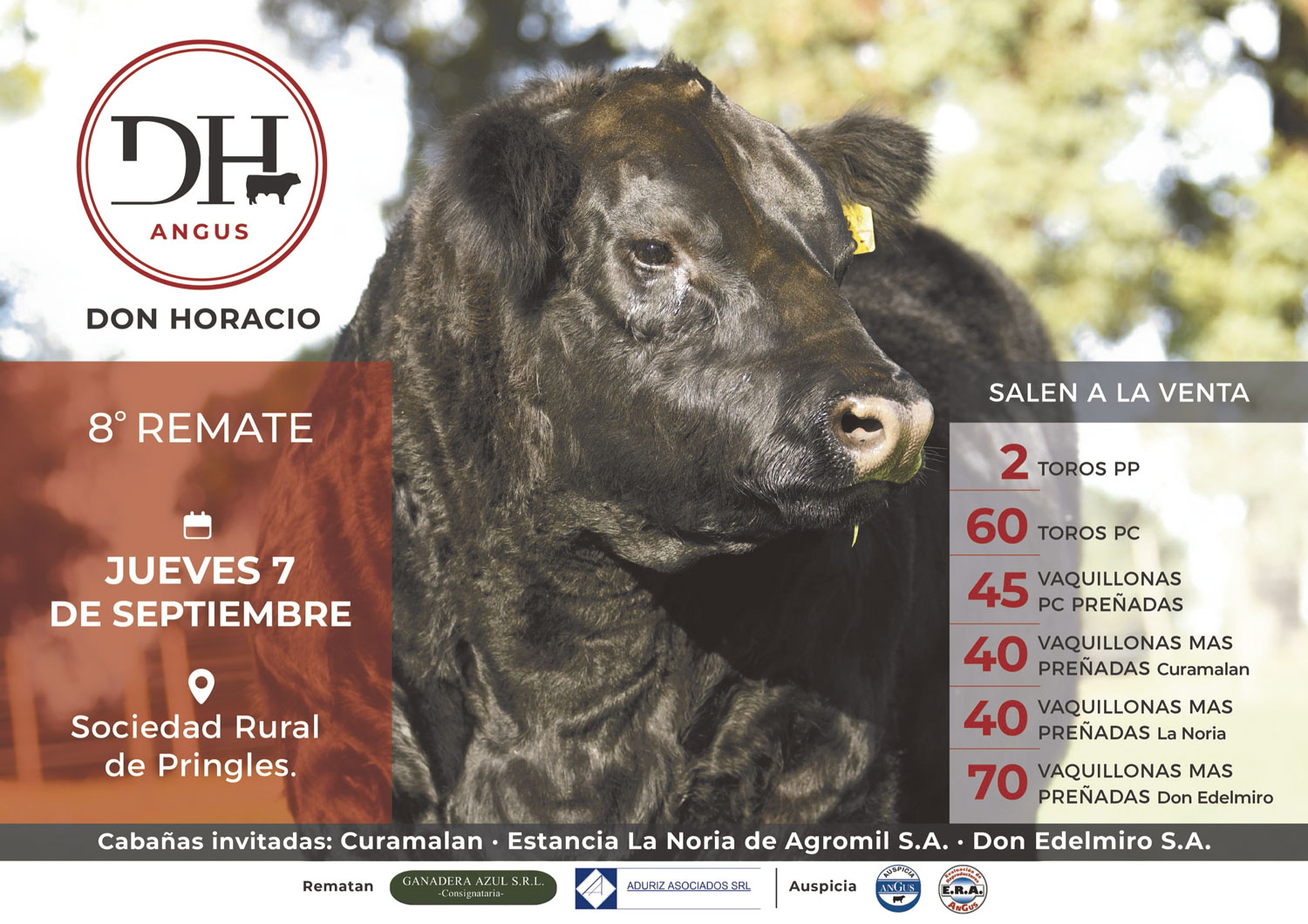 Cabaña Don Pancho y Cabaña Don Horacio | Ganadera Azul S.R.L.